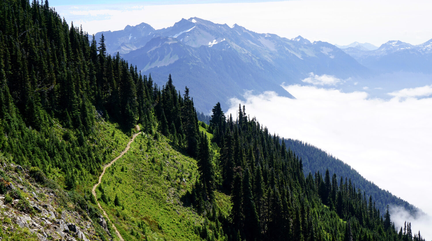 Seven Lakes High Divide Loop | Exploring the Rockies