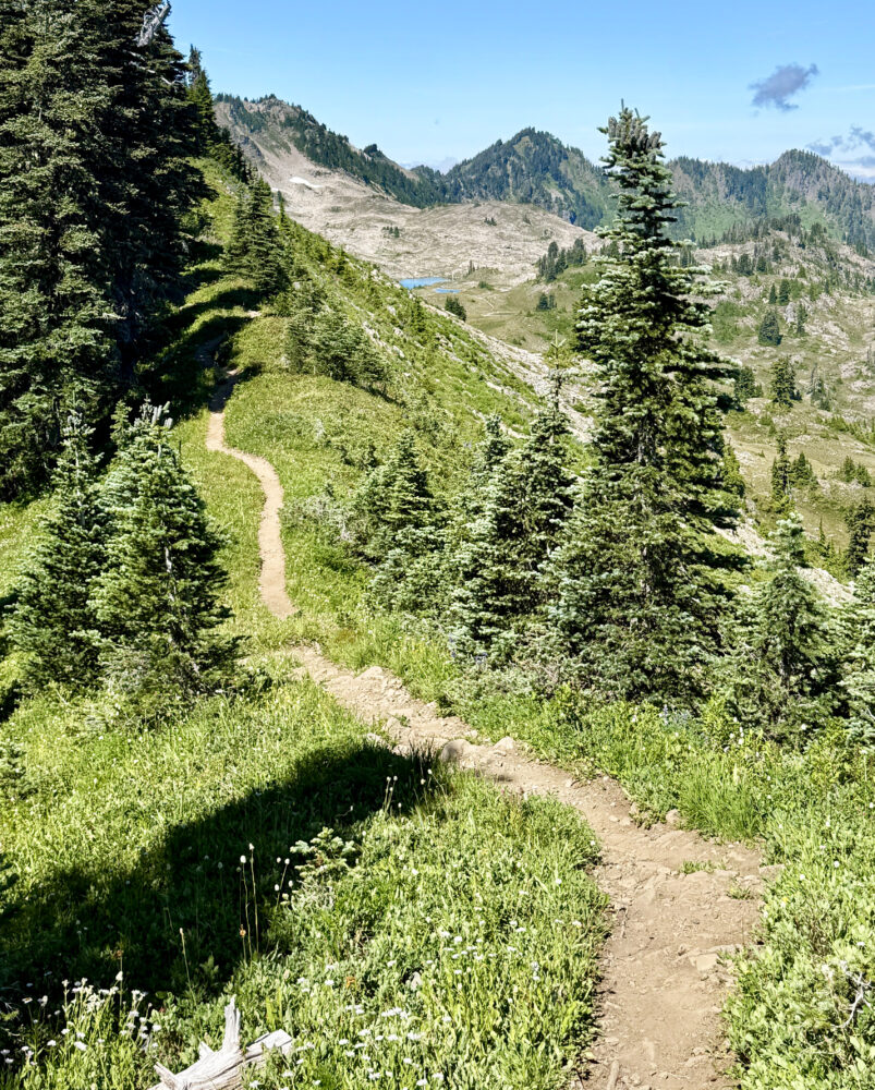 Seven Lakes High Divide Loop | Exploring the Rockies