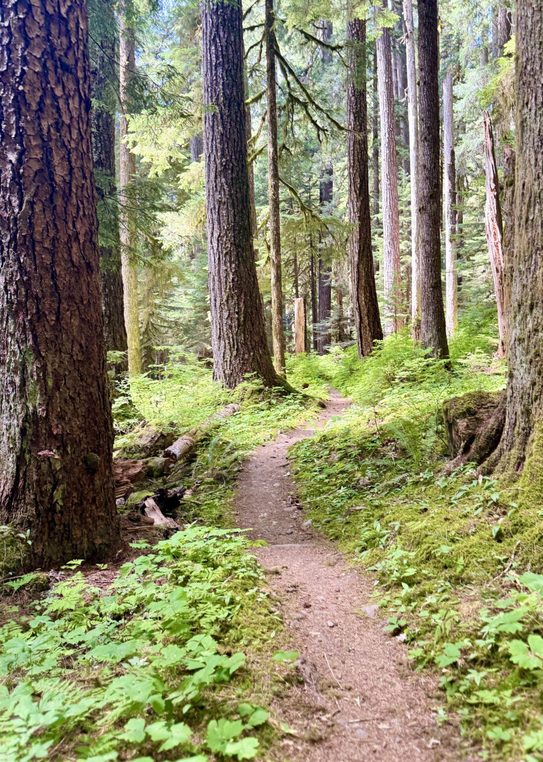 Seven Lakes High Divide Loop | Exploring the Rockies