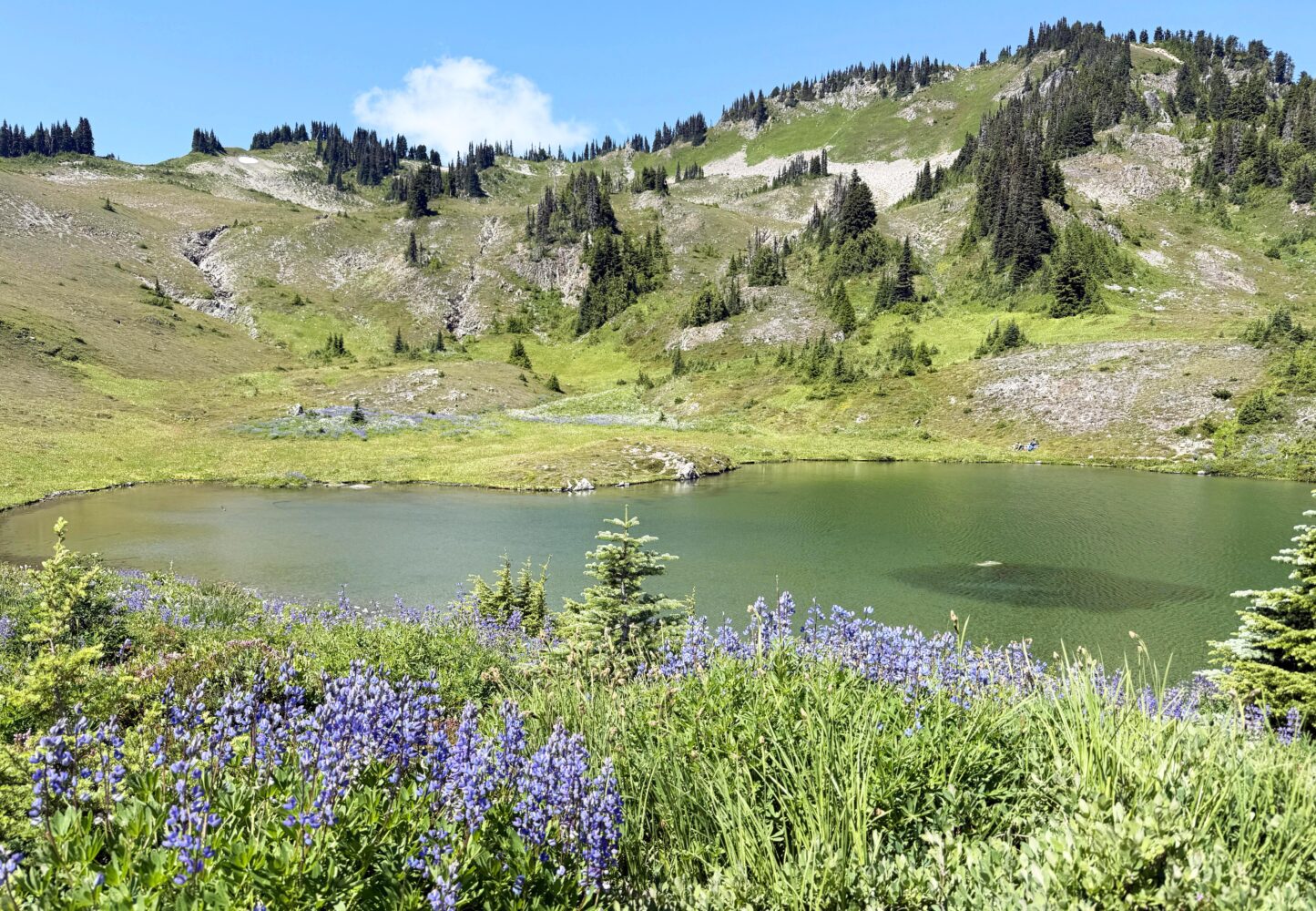 Seven Lakes High Divide Loop | Exploring the Rockies