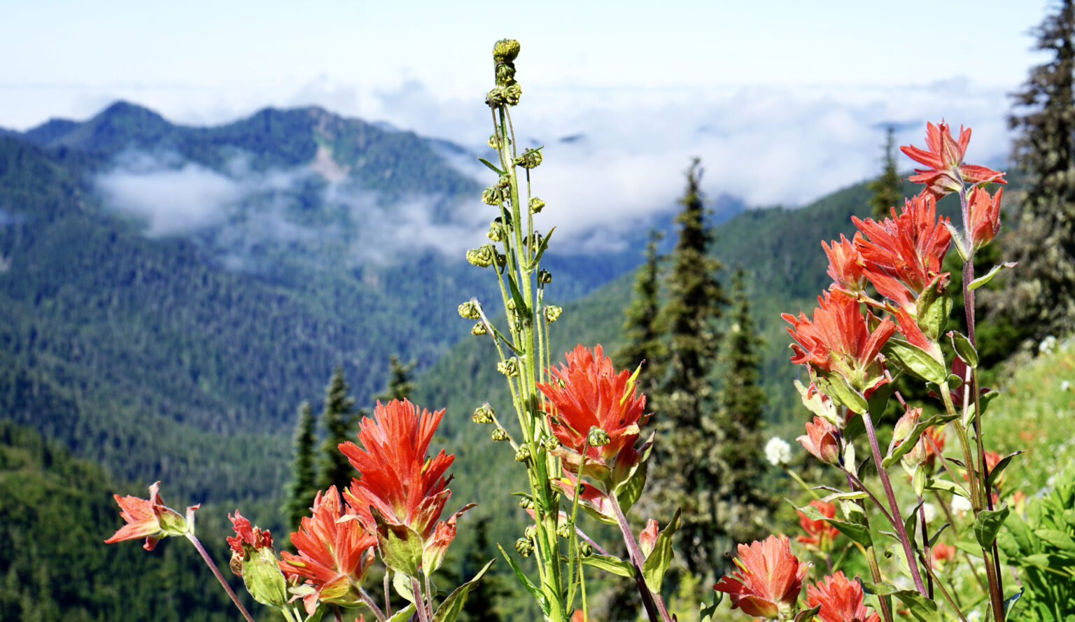 Seven Lakes High Divide Loop | Exploring the Rockies